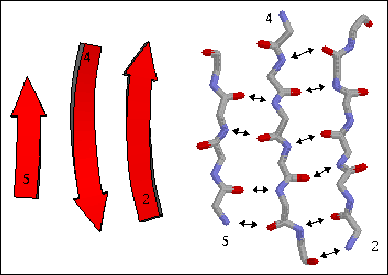 3.2.1 Antiparallel